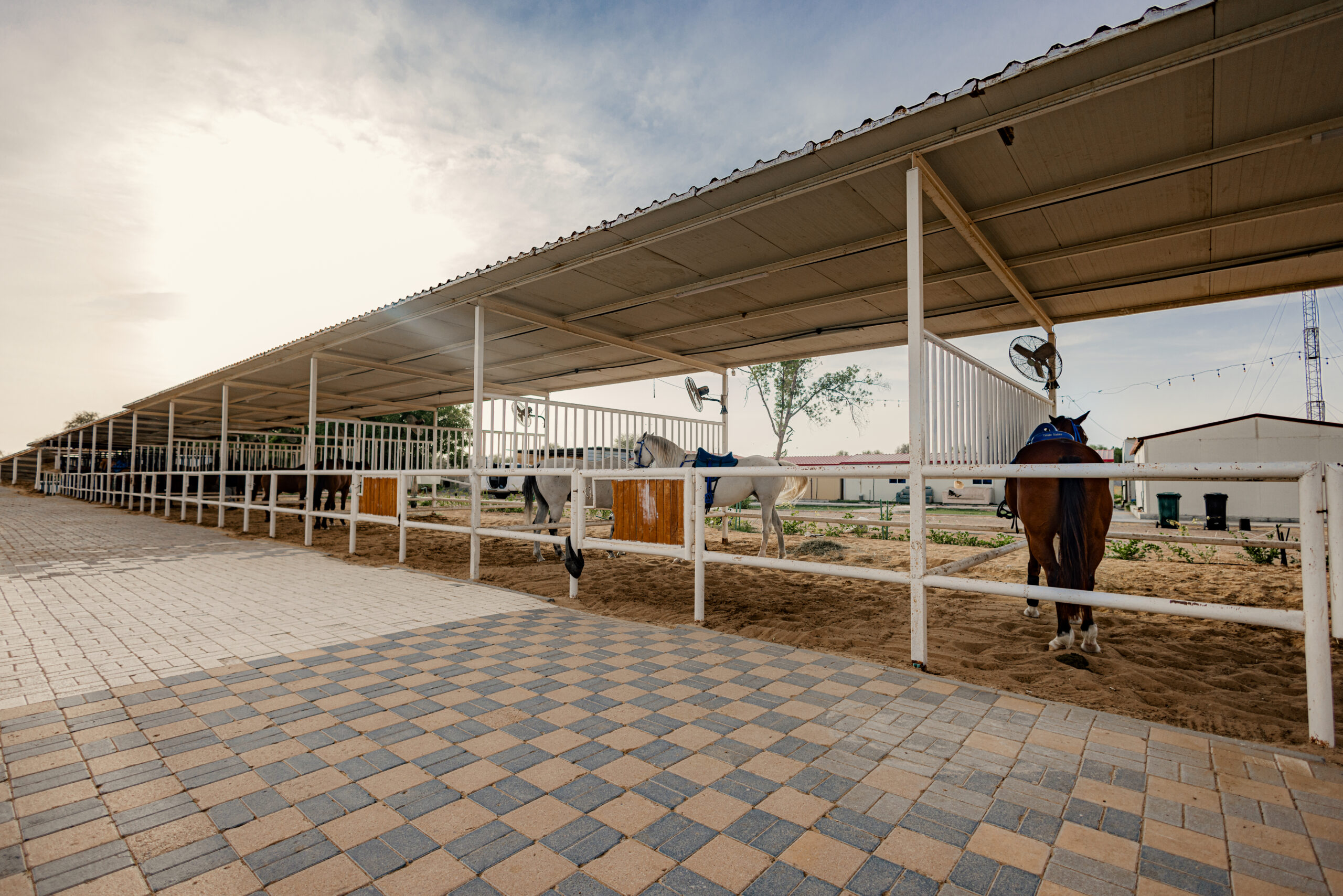 Caballo Stable – Caballo Stable